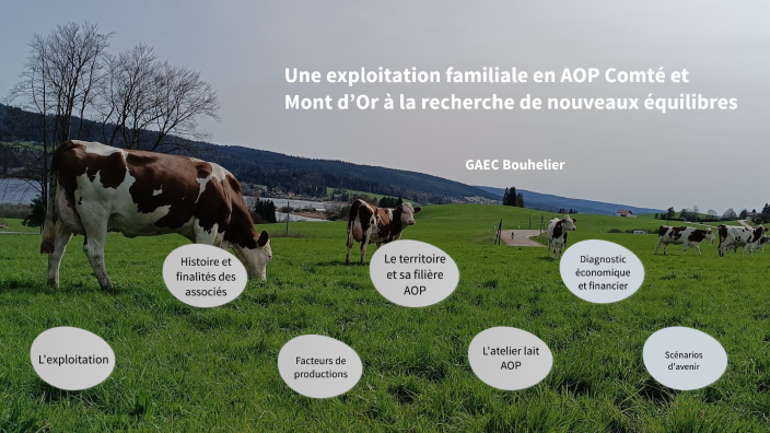 ORAL Rapport by paul bourdin on Prezi