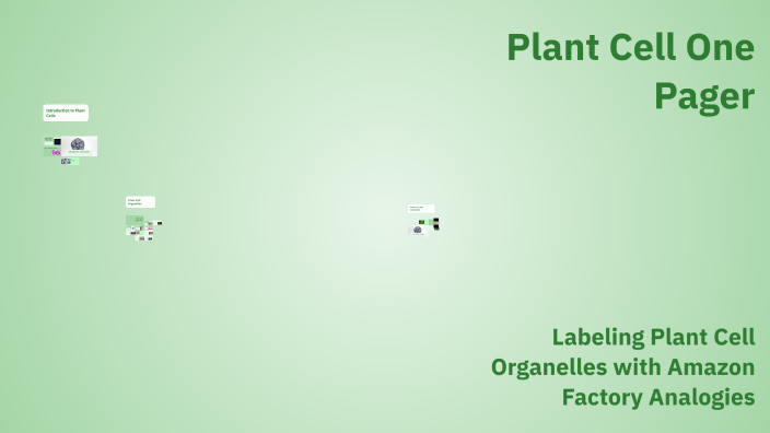 Plant Cell One Pager by Grayson Creamer on Prezi