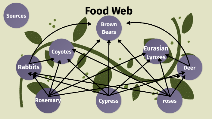 Food Web by Jacob Buchanan on Prezi