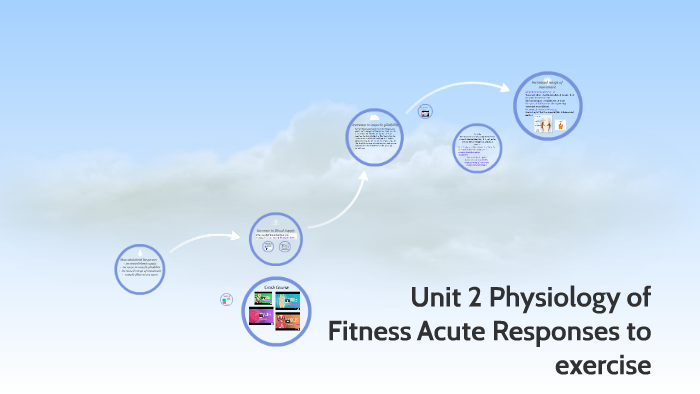 Unit 2 Physiology of Fitness Acute Responses to exercise ...
