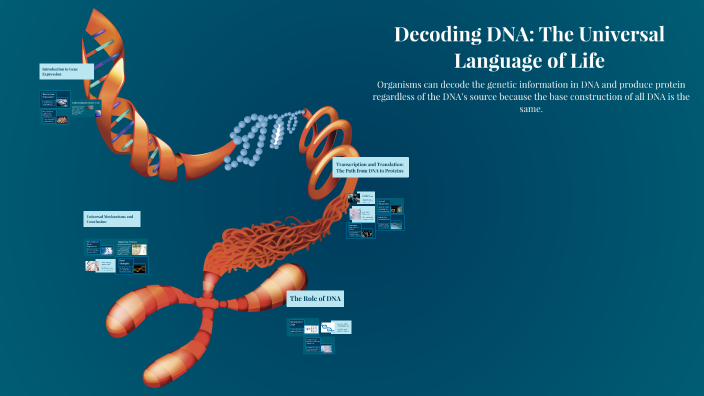 Decoding DNA: The Universal Language of Life by Chayney melton on Prezi