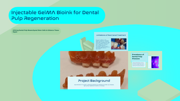 Injectable GelMA Bioink for Dental Pulp Regeneration by Sylvia Zheng on ...