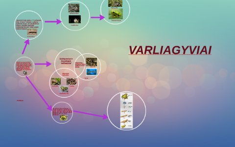 VARLIAGYVIAI by Aurutė Stasiulienė on Prezi