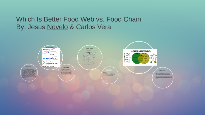 The Food Web vs. Food Chain by Elizabeth Mancilla on Prezi