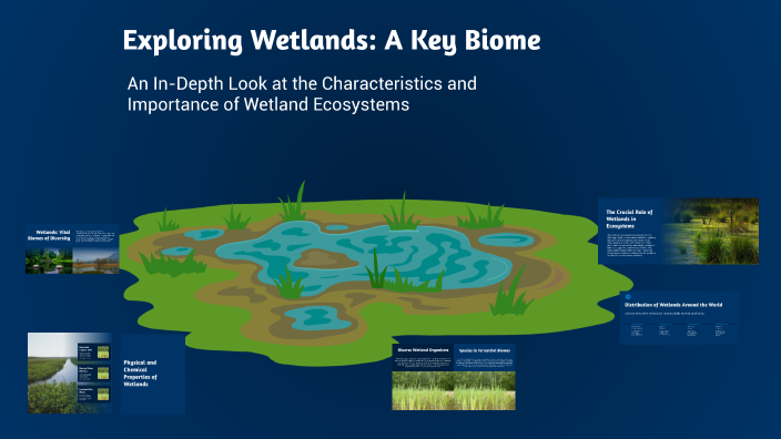 Exploring Wetlands: A Key Biome by kennie munroe on Prezi