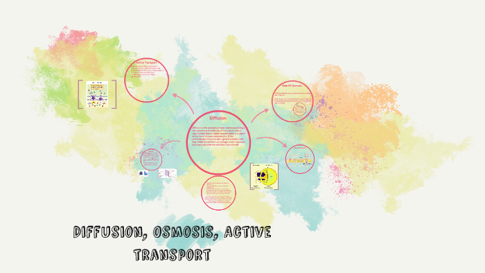 Diffusion, osmosis and active transport by Chantelle Lim on Prezi