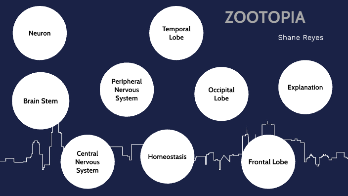 Nervous System and Brain Analogy by Shane Reyes on Prezi