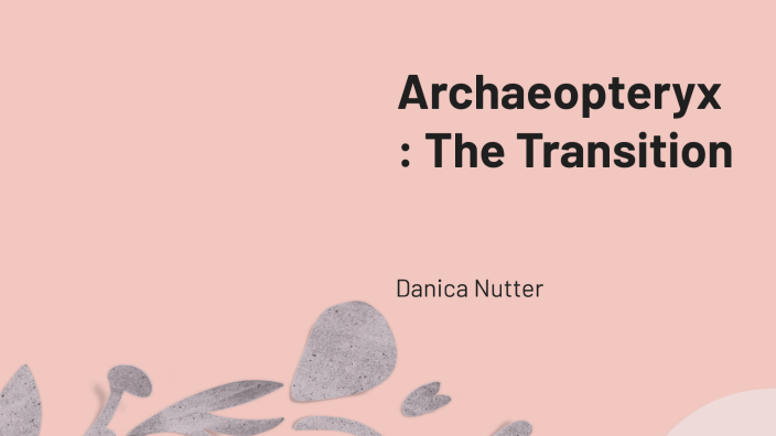 Archaeopteryx: The Transition Fossil by Danica Nutter on Prezi