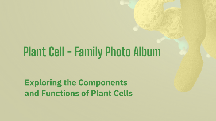 Plant Cell - Family Photo Album by Mindi Johnson on Prezi