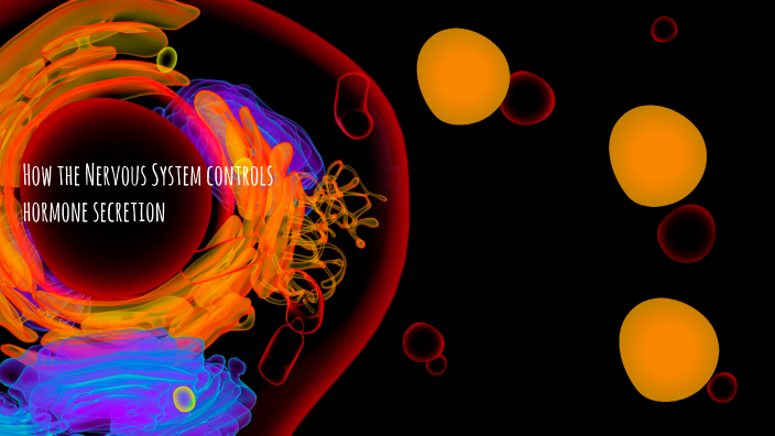 Hormone Secretion by Michael DeBose on Prezi