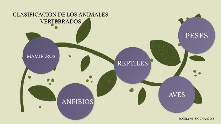 CLASIFICACION DE LOS ANIMALES VERTEBRADOS by carlos sigcha on Prezi
