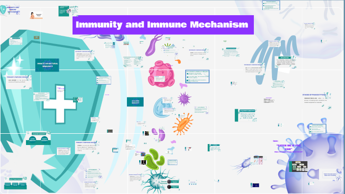 Immunity and Immune Mechanism by Faye Althea Castillo on Prezi