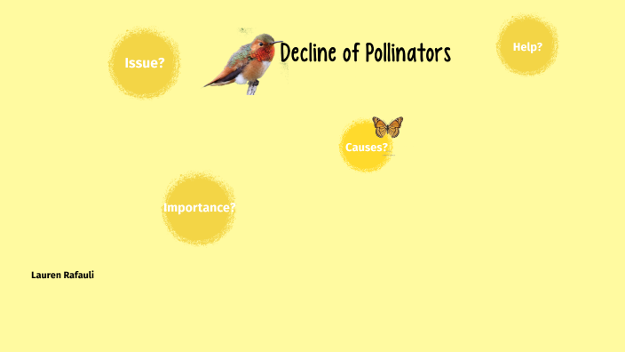 Decline Pollinators by Hi Hey on Prezi