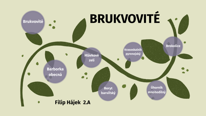 Brukvovité II by Filip Hájek on Prezi