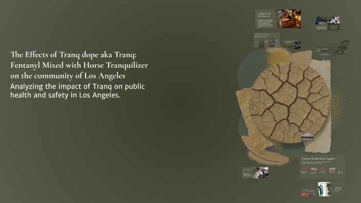 The Effects of Tranq: Fentanyl Mixed with Horse Tranquilizer on the Los ...
