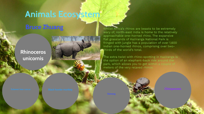 Science Ecosystem by Z Bruce on Prezi