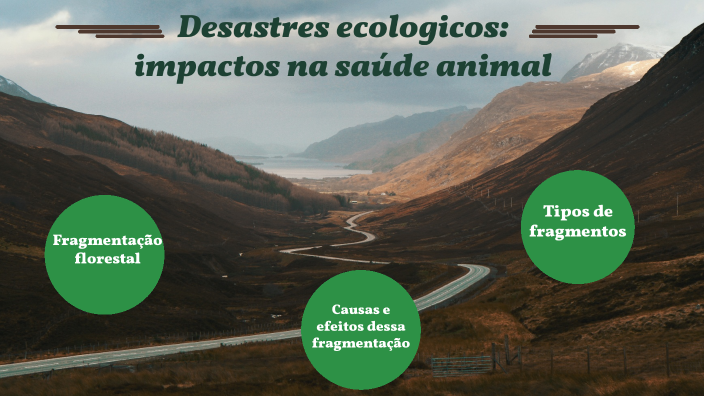 fragmentação florestal by Igor Lucas on Prezi