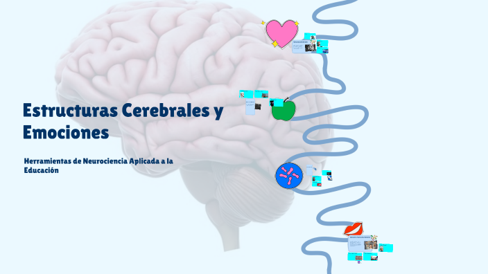 Estructuras Cerebrales y Emociones by Catalina García Martínez on Prezi