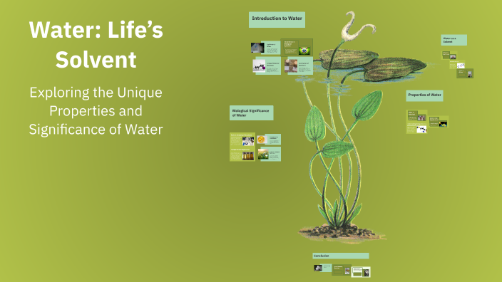 Water: Life’s Solvent by paul he on Prezi
