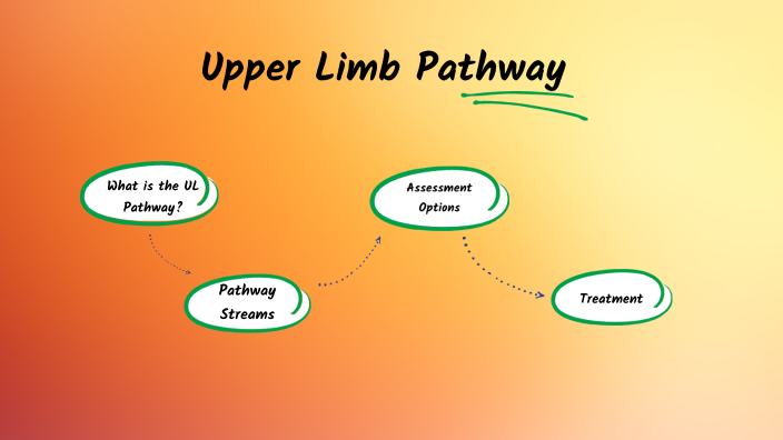 Upper Limb Pathway by laura osborne on Prezi