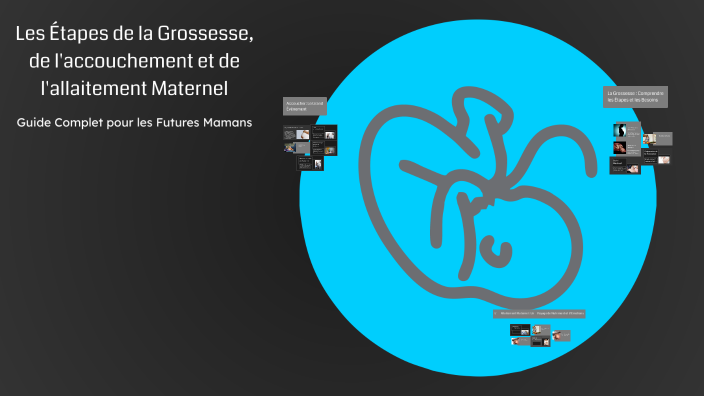 Les Étapes de la Grossesse, de l'Accouchement et de l'Allaitement ...