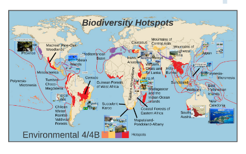 Biodiversity Hotspots by Danielle Timko on Prezi
