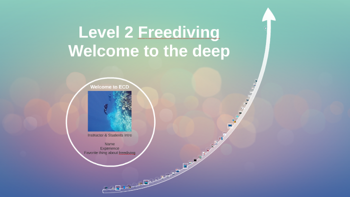 Level 2 Freediving by East Coast Divers on Prezi