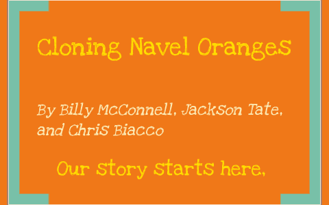 Cloning Navel Oranges by Billy McConnell on Prezi