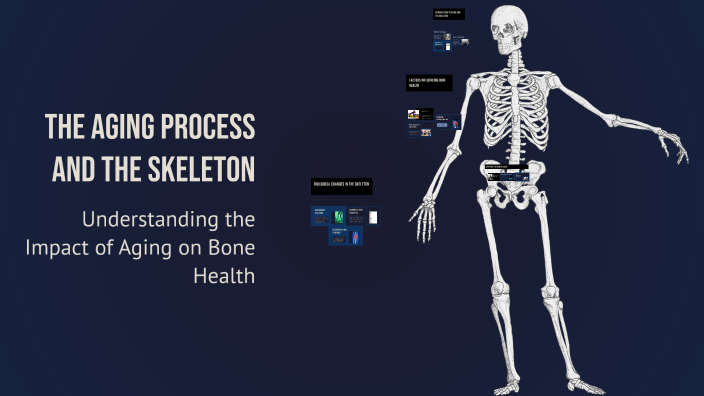 The Aging Process and the Skeleton by Aiden Walker on Prezi
