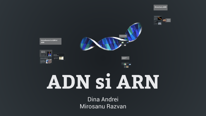 ADN si ARN by Test Test on Prezi