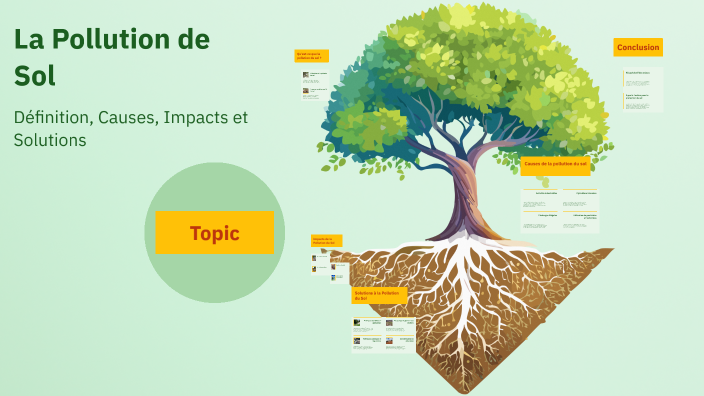 La Pollution de Sol by SOUKI LEE on Prezi