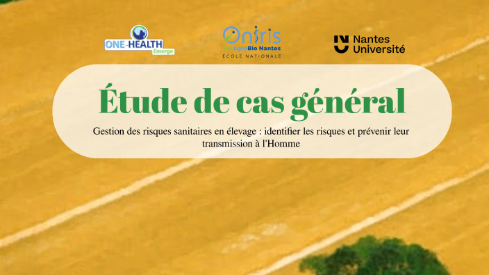 Présentation UE057 Etude de cas by salomé castéra on Prezi