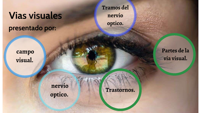 Vias visuales by Jose David Vargas Martinez on Prezi