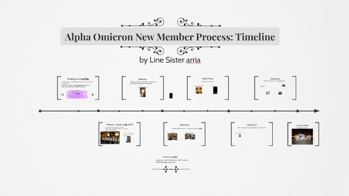 Alpha Omicron New Member Process: Timeline by Eliana Finkelstein Alpha Omicron New Member Process: Timeline by Eliana Finkelstein
