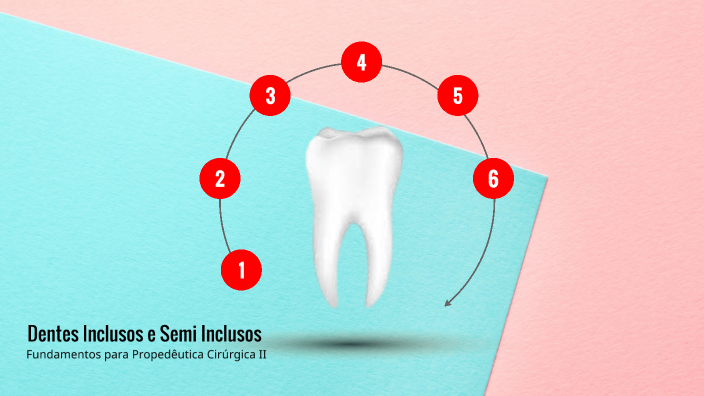 Dentes Inclusos e Semi Inclusos by Daymond Lucas Da Silva on Prezi