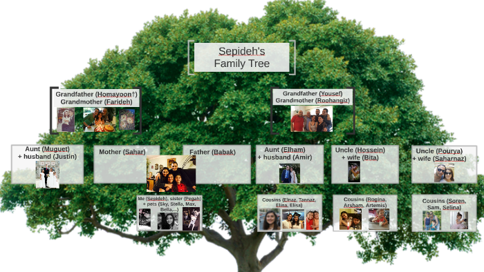 Family tree Sepideh by Sepideh Mahinnejad on Prezi