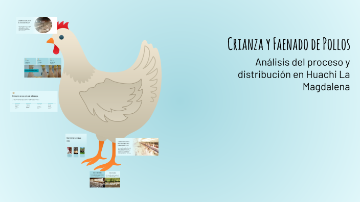 Crianza y Faenado de Pollos by Isaac Culqui on Prezi