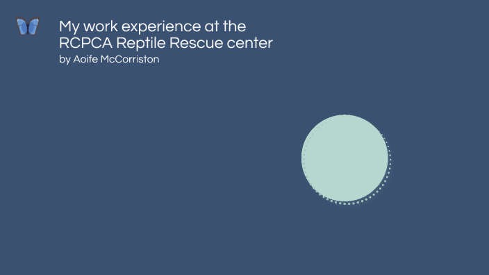 My work experience at the RCPCA Reptile Rescue center by Aoife ...