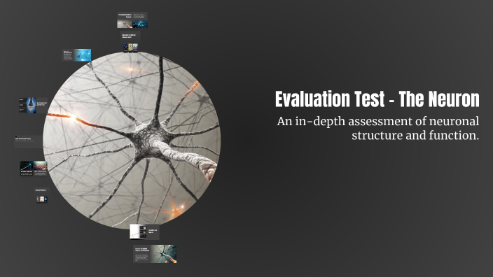 Evaluation Test - The Neuron by Cacaleteanu Loredana on Prezi