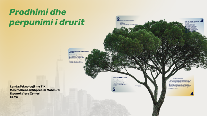 Prodhimi dhe perpunimi i drurit by Argjira Zymeri on Prezi