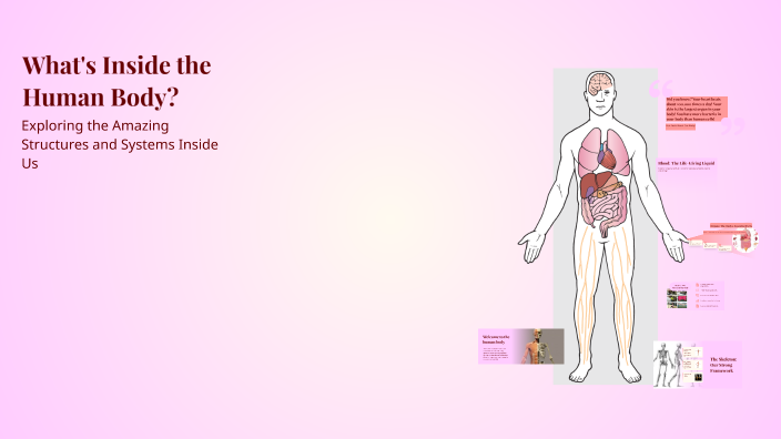 What's Inside the Human Body? by Layla Sandridge on Prezi