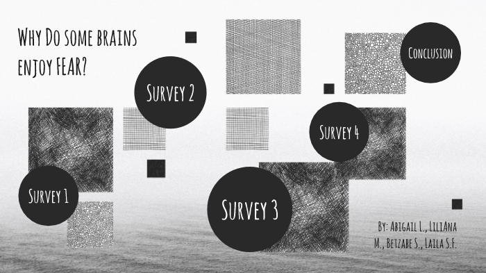 Why do some brains enjoy fear? by LLAB SMLS on Prezi