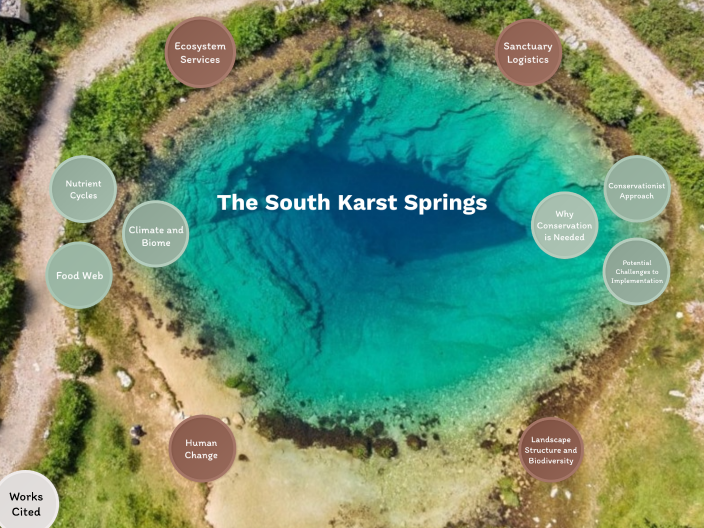 The South Karst Springs by Cara Herock on Prezi