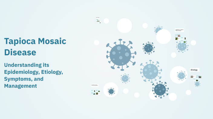 Tapioca Mosaic Disease by Nivya Sunil on Prezi