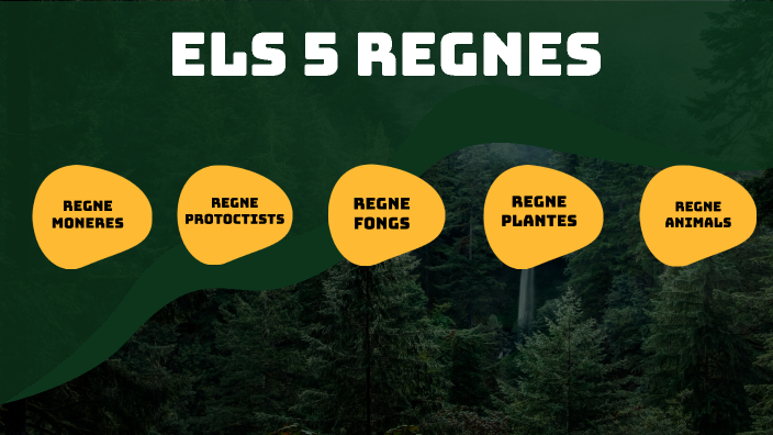 Els 5 regnes by Unai González Serra on Prezi