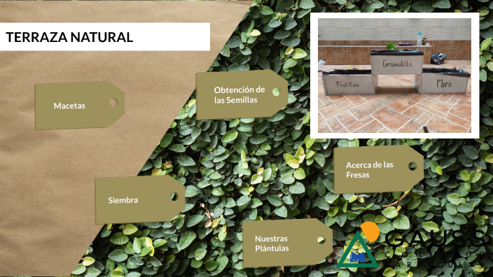Huerto Urbano by Keyla Paredes on Prezi