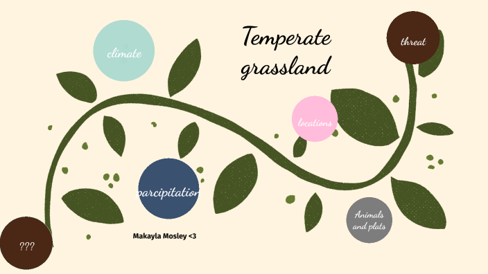 Temperate Grassland