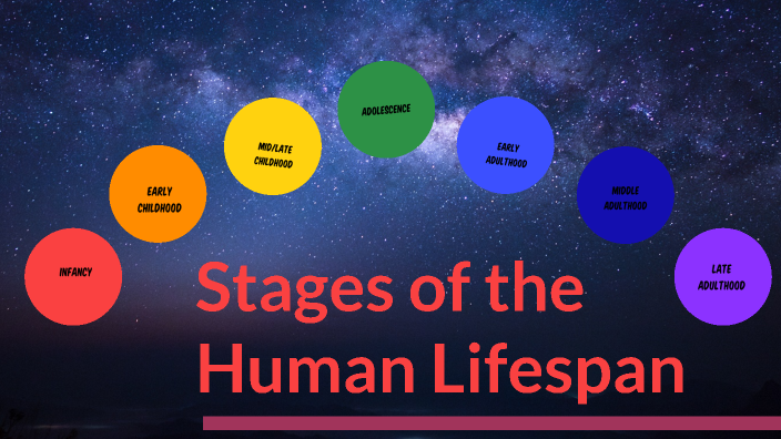 Human Lifespan and Development by Edward Primi on Prezi