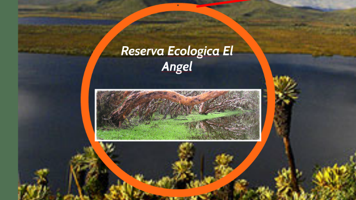 Reserva Ecologica El Angel by EDISON GARCES on Prezi