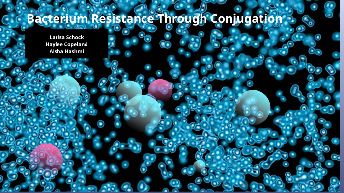 Biology 219 Lab Presentation by Haylee Copeland on Prezi